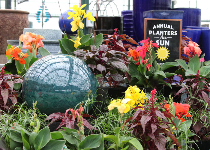 Annual and Container Accent Plants - Sky Nursery